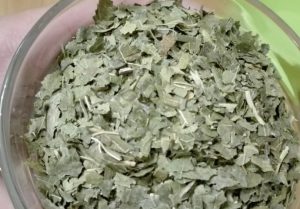 Biber meso ⋆ Balkan PlusBalkan Plus