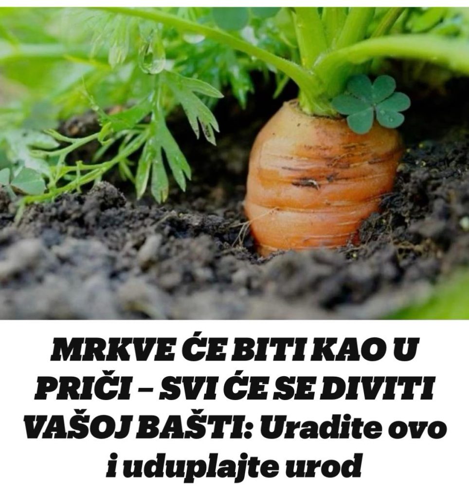 STAVITE U MLIJEKO 1 SASTOJAK I OSLOBODIT ĆE VAS SUHOG I NAPORNOG KAŠLJA ...