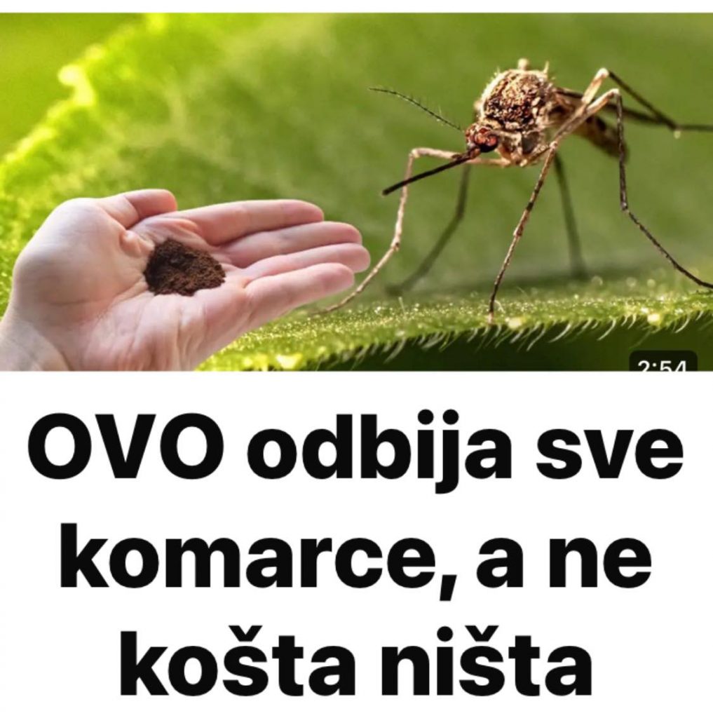 STAVITE U MLIJEKO 1 SASTOJAK I OSLOBODIT ĆE VAS SUHOG I NAPORNOG KAŠLJA ...