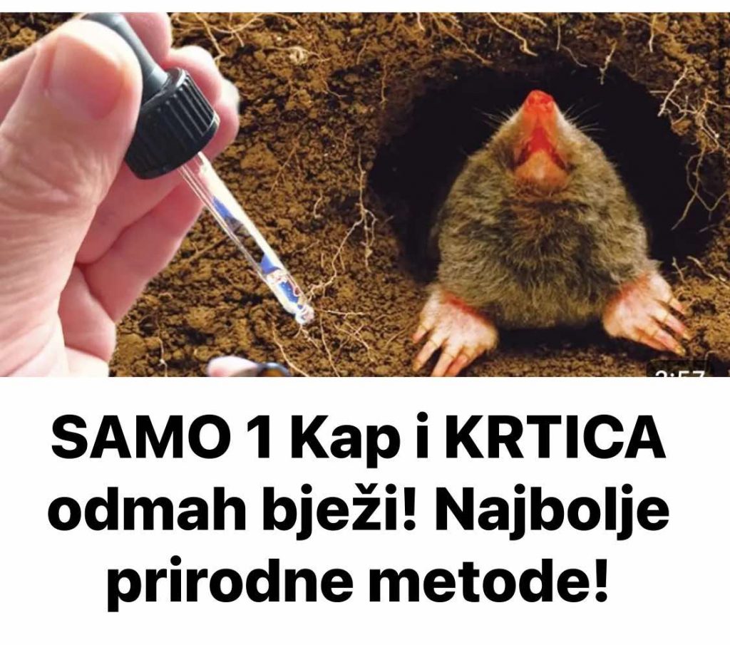 SAMO 1 Kap i KRTICA odmah bježi! Najbolje prirodne metode! ⋆ BALKAN PLUS